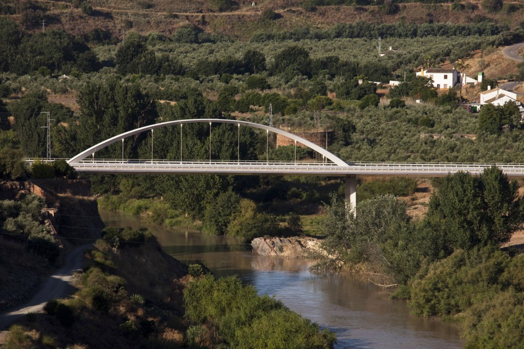Puente de Montoro. Diseño sin artificios - Infraestructuras y Movilidad
